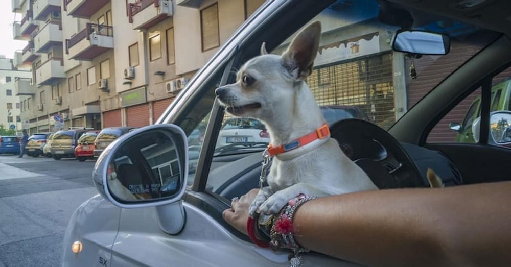 Top Causes of Distracted Driving | The Mike Hostilo Law Firm